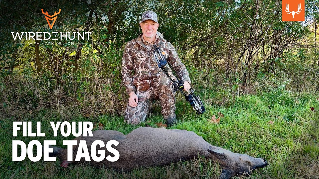 Why and How To Specifically Hunt Does with Nick Pinizzotto - YouTube