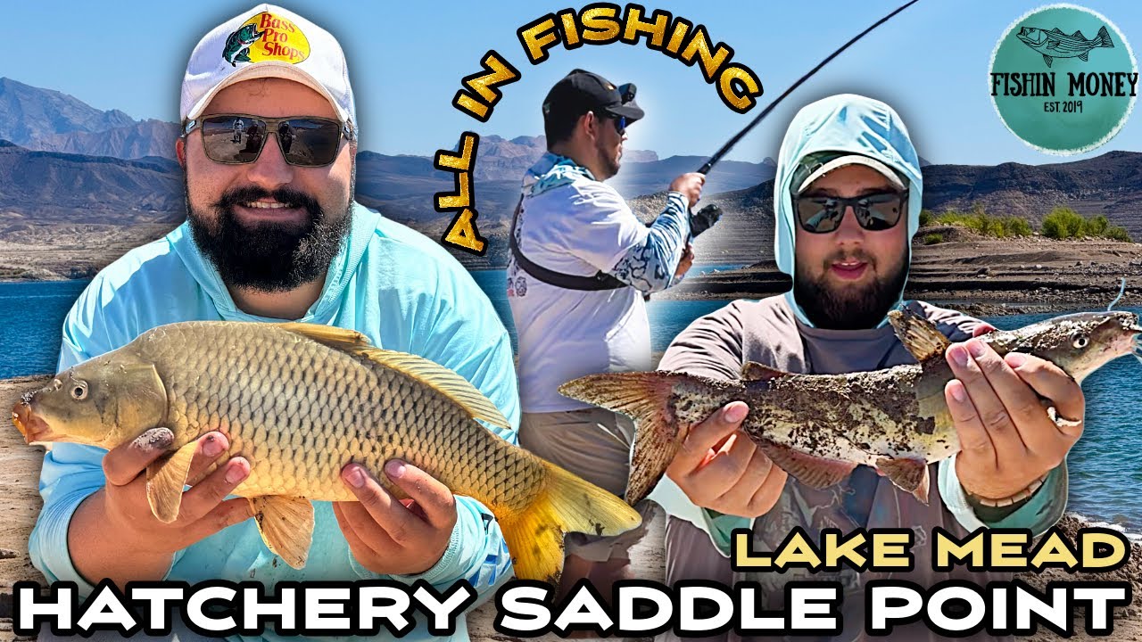 Hatchery Saddle Point LAKE MEAD Multi-Species Bank Fishing with @all-in ...