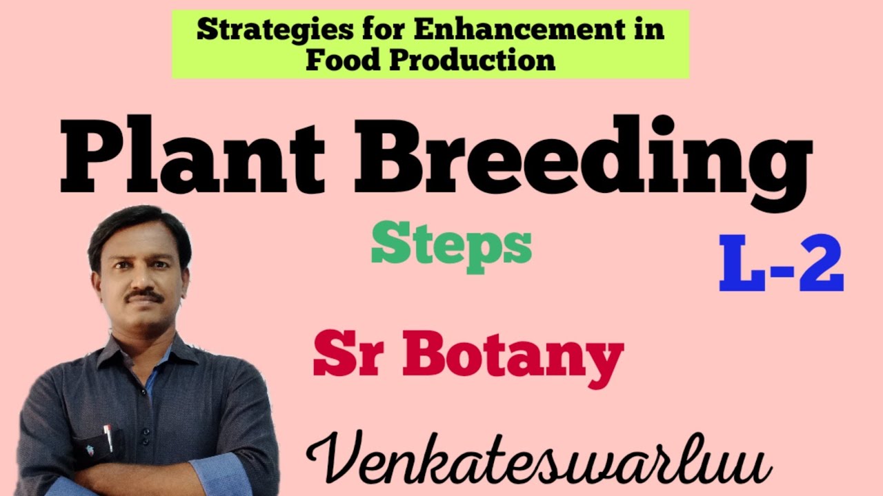 Plant Breeding Steps | Strategies for Enhancement in food Production ...