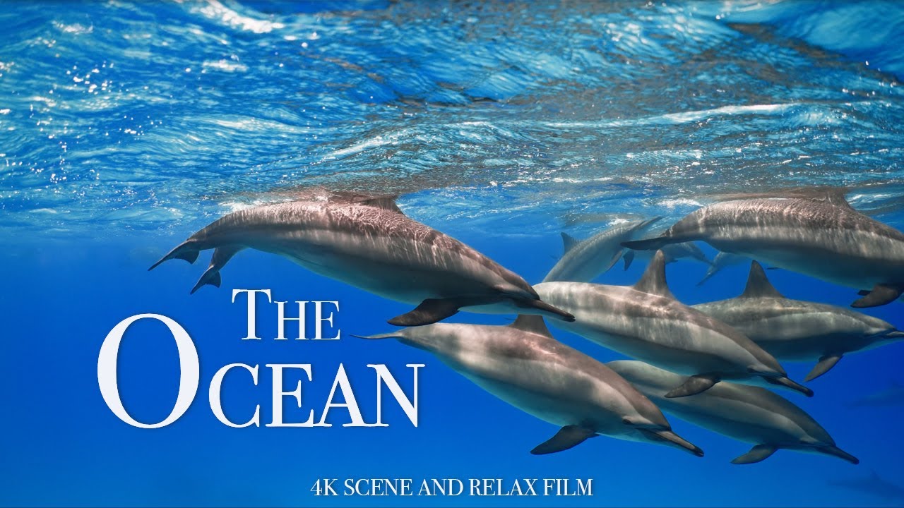Ocean 4K Relaxation Scenery Film With Calming Music - YouTube