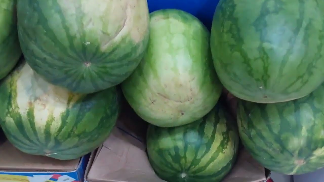 ROAD TRIP[BAKALA] - YouTube