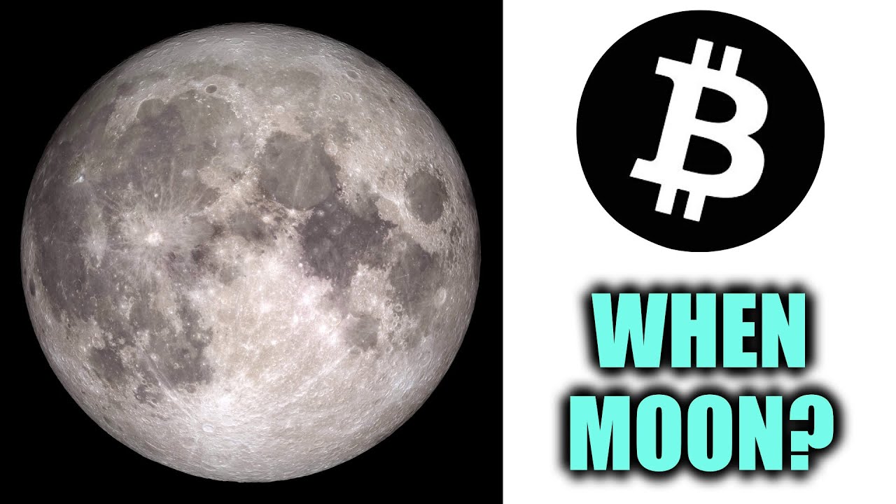 Bitcoin: divergence and the reversal price by Jacob Canfield + Koreans ...