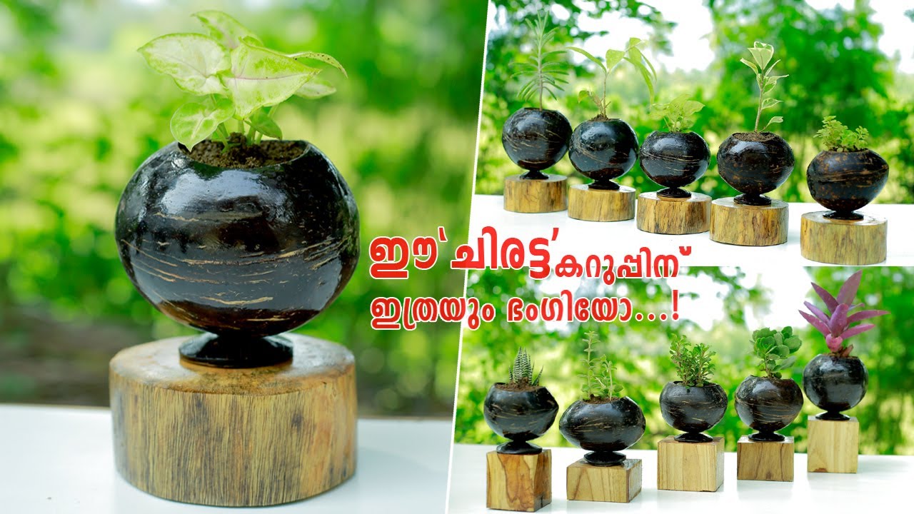 How To Make Coconut Shell Plants | Room Decorating Ideas | Diy Projects ...