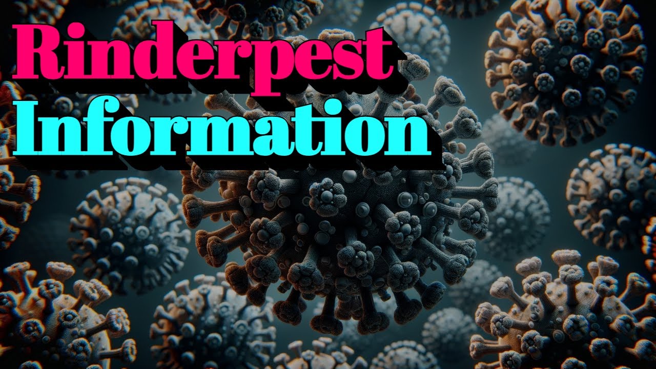 Rinderpest Information (🔬Animal diseases) - YouTube