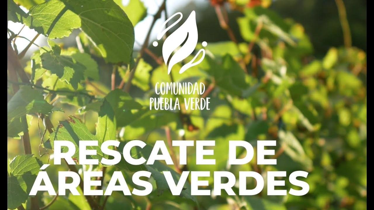 Rescate de áreas verdes: El ejemplo del Huerto "Polocote" - YouTube