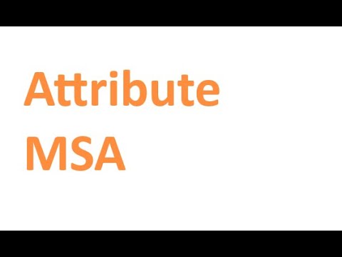 Attribute MSA Understanding in Hindi - YouTube