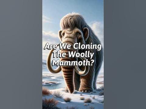 Are We Cloning The Woolly Mammoth? - YouTube