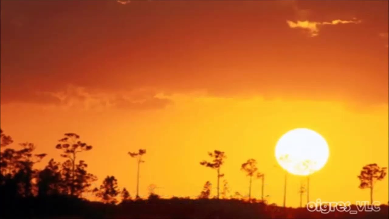 Buscando el Sol + Acompañaynomiento mio - YouTube