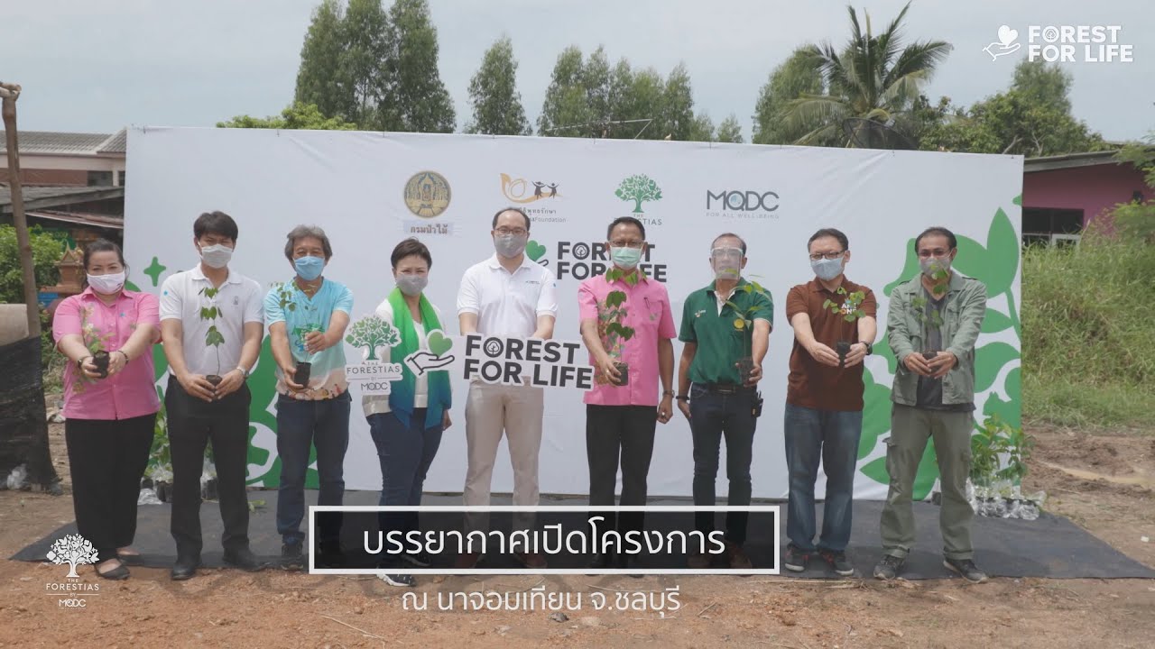 สารคดี "Forest for Life สร้างป่า สร้างชีวิต" ตอนที่ 4 - YouTube