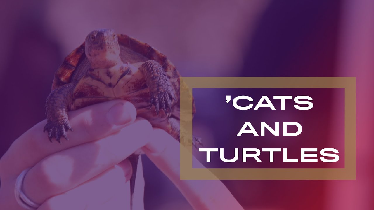 Environmental science students work to save the native Western pond ...