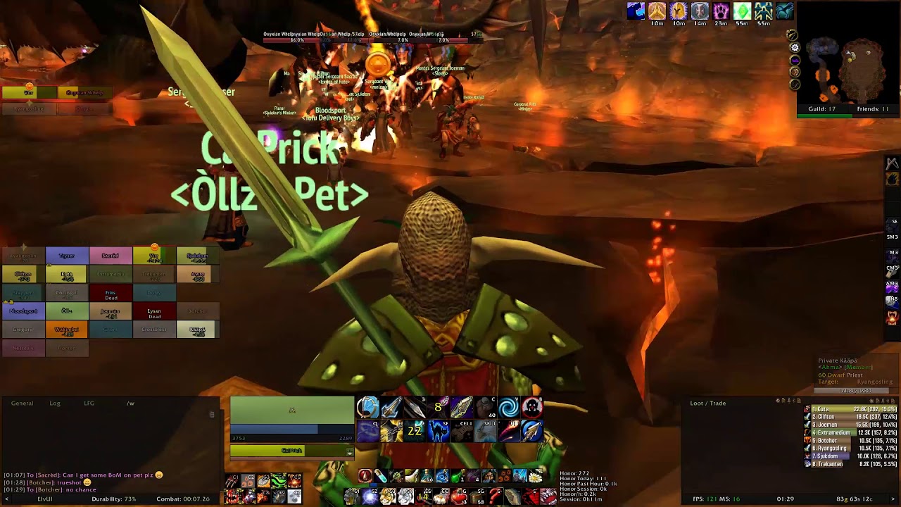 WoW Classic - Onyxia pug - Level 59 BM Hunter PoV - YouTube