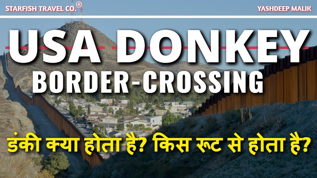 X-FLASH: The Truth About USA Donkey (Dunki) - YouTube