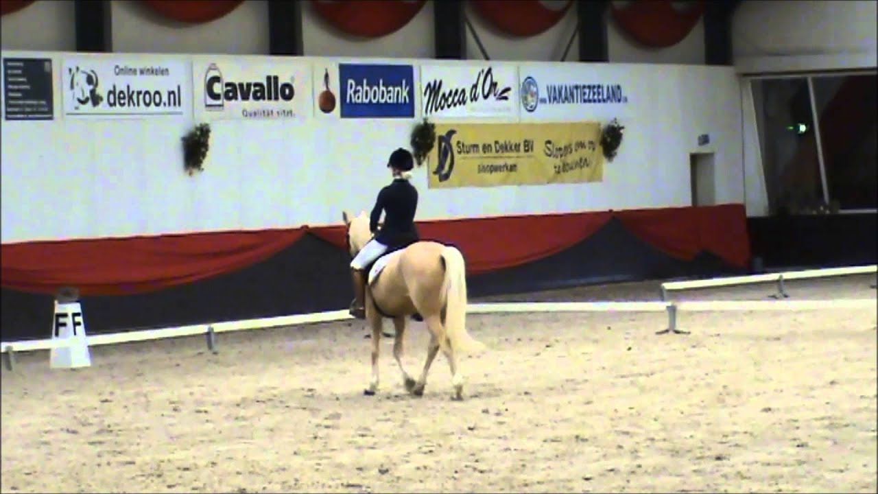 Robbin de Haas & High Flown's Indiana, Zeeuwse Kampioenschappen Indoor ...