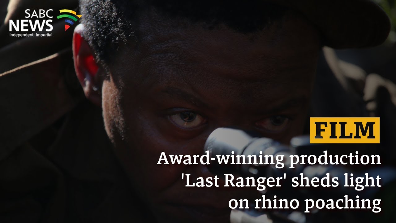 Film | Award-winning production 'Last Ranger' sheds light on rhino ...