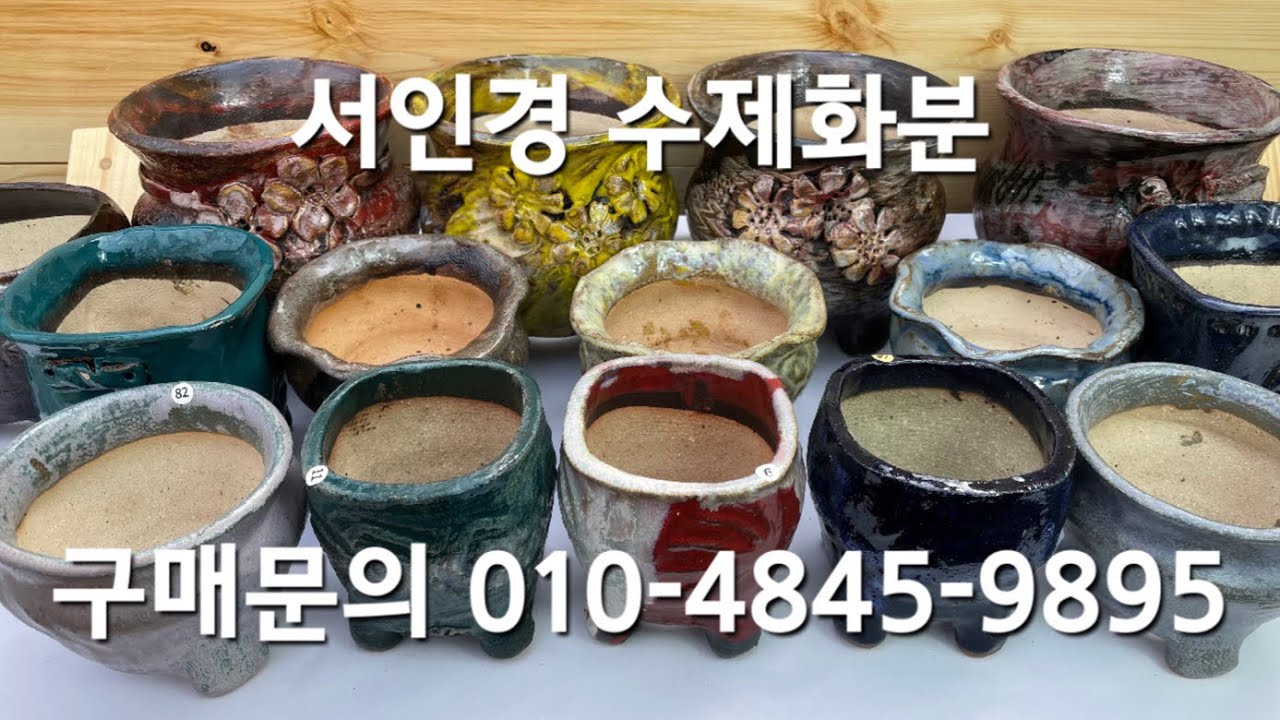 79 84 다육이를 더 돋보이게 하는 서인경수제화분 다육화분 다육이화분 다육이 다육식물 수제화분 서인경수제화분