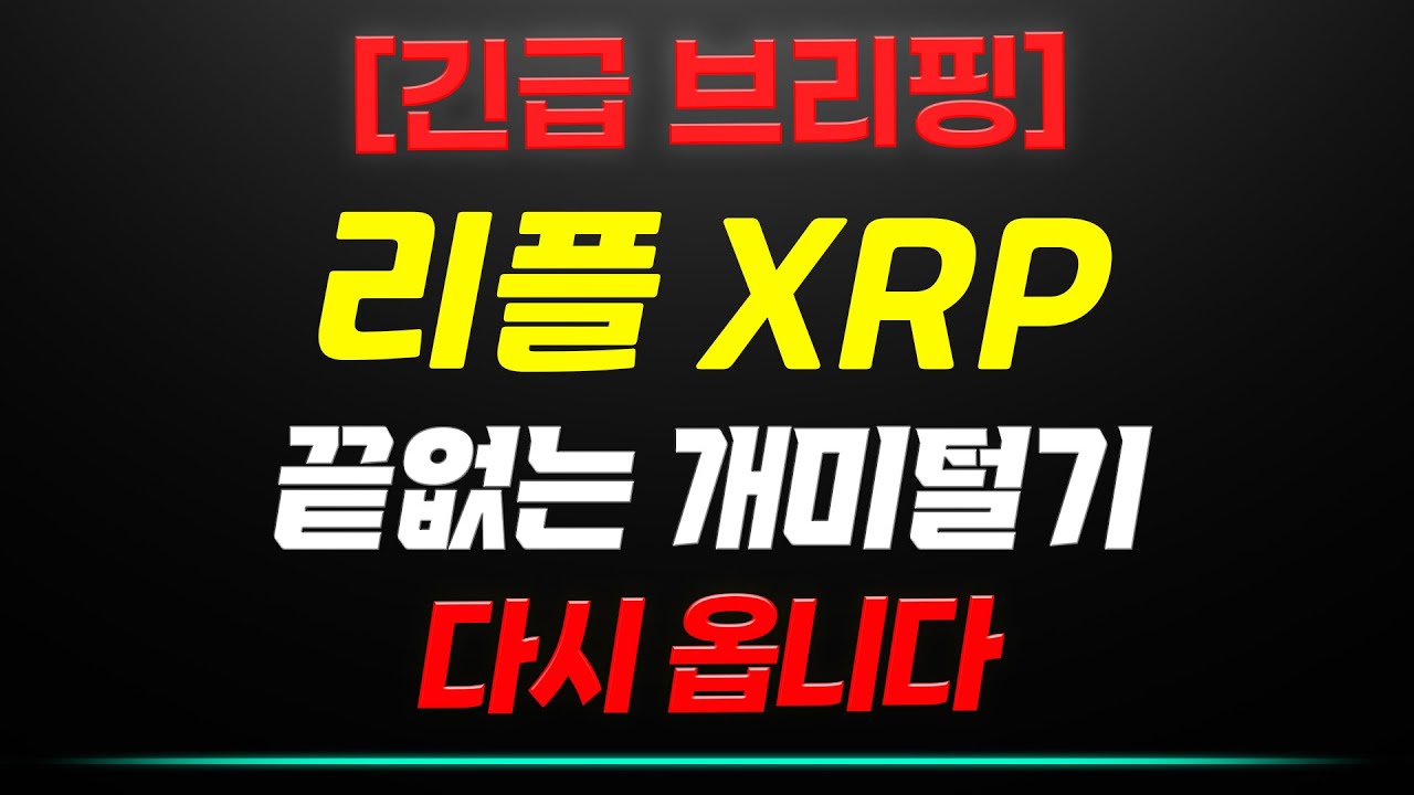 긴급 브리핑 리플 Xrp 끝없는 개미털기 다시 옵니다 비타 Xrp 리플 리플분석 리플전망 코인시황 코인분석