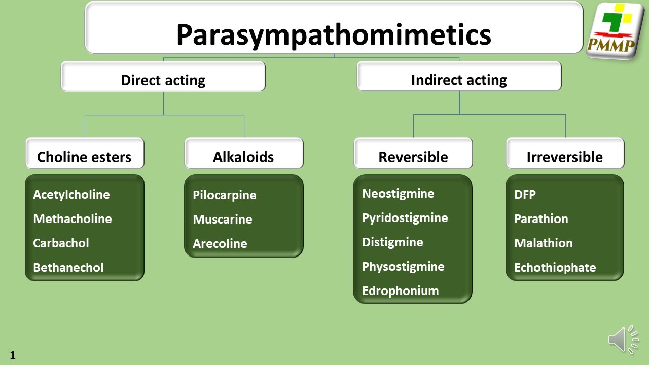 Parasympathomimetic drugs , General Pharmacology, S-3.1.3 - YouTube