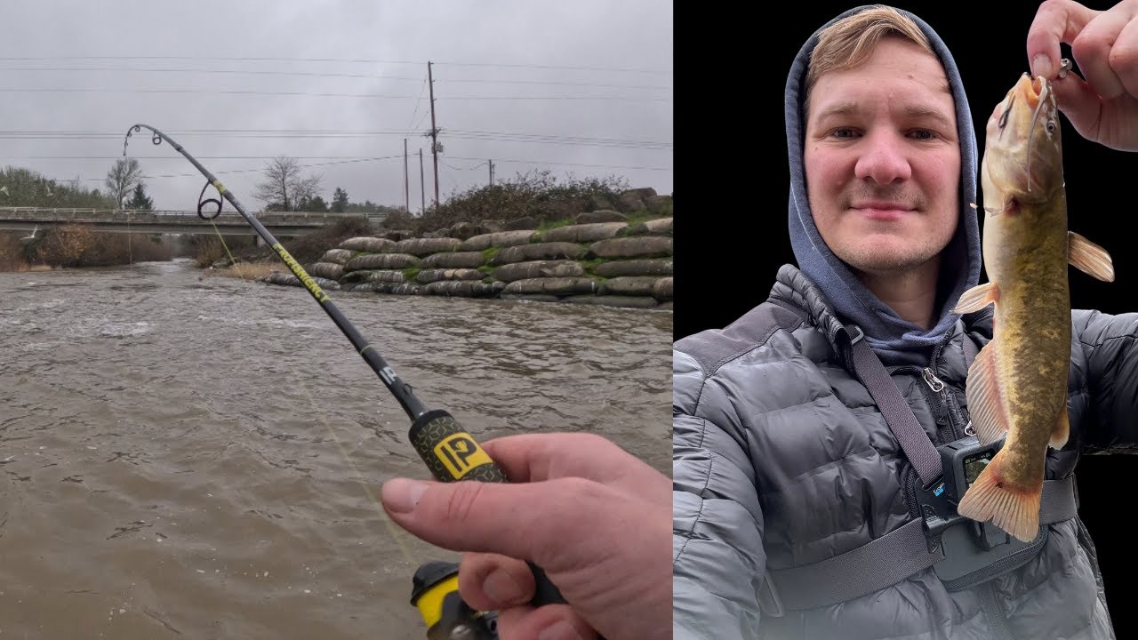 Fishing Fern Ridge Dam - YouTube