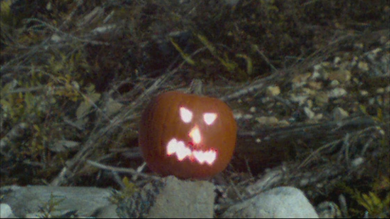 Exploding pumpkins in slow motion (Chronos 1.4) - YouTube