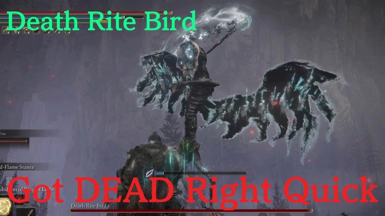 ELDEN RING DLC [NG+1]: Death Rite Bird boss fight. - YouTube