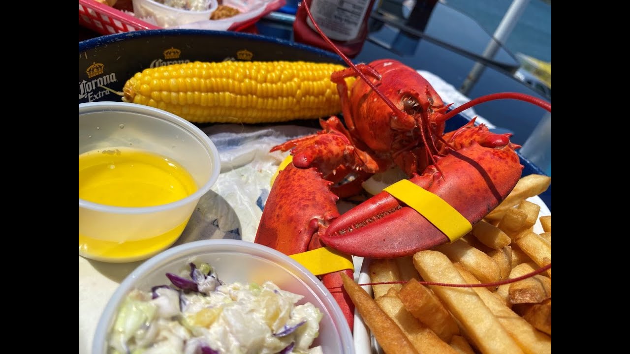 The Sad Decision - Returning Home - YouTube