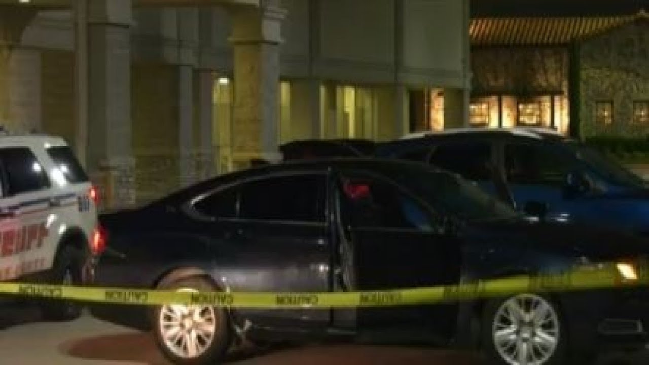 Man shot in head in NE Harris County declared brain dead: Deputies ...