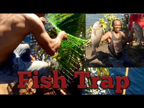 ep#33 Bobo (fish trap) Fishing. catch & cook - YouTube