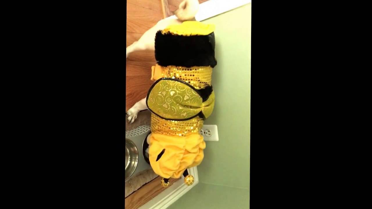 Bumble Beans - YouTube