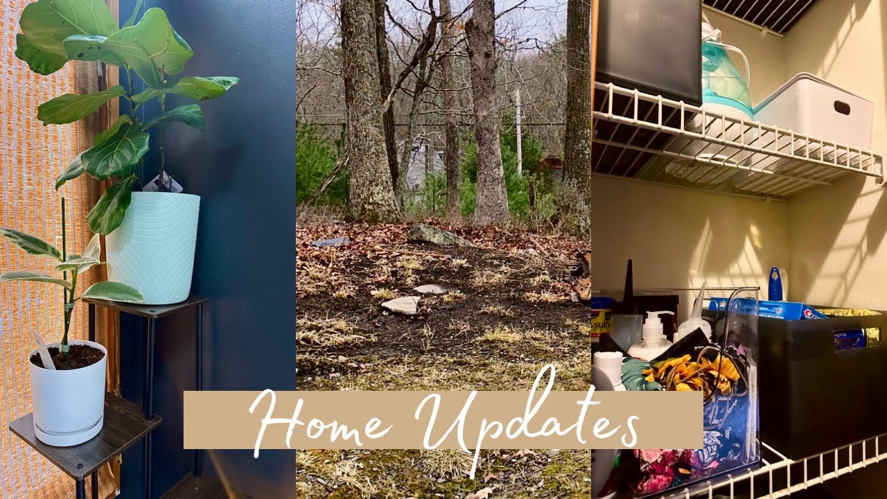 Home Update Ep. 20 | Decluttering, Our New Plant Stand & Moving Things ...