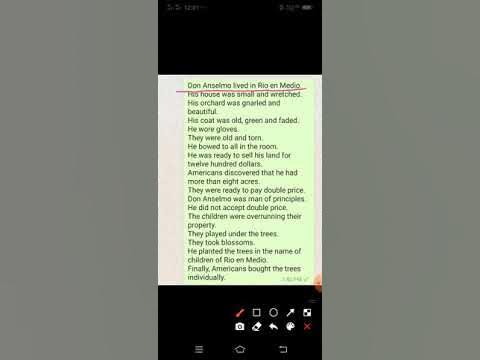 Summary of Gentleman of Rio en Medio - YouTube