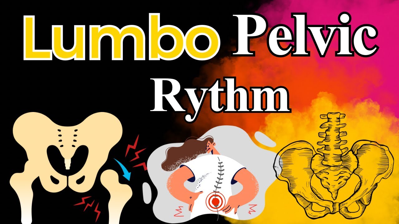 Lumbo pelvic rythm | lumbopelvic rhythm in hindi | lumbopelvic rhythm ...