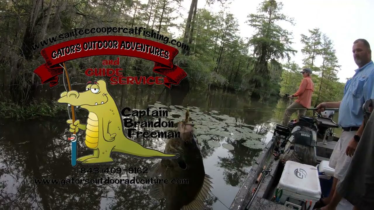 Rippnn Lippss On Santee Cooper Lakes Catching Shellcrackers - YouTube