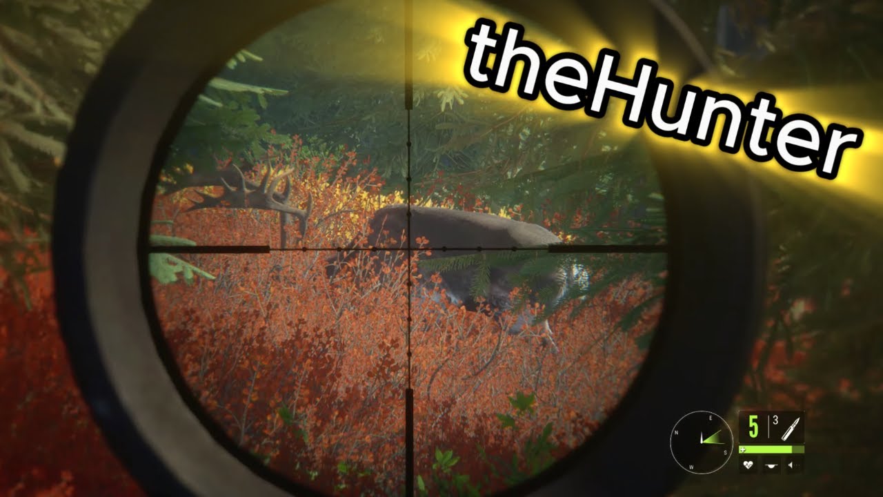 I just RUINED A DIAMOND in theHunter! - YouTube