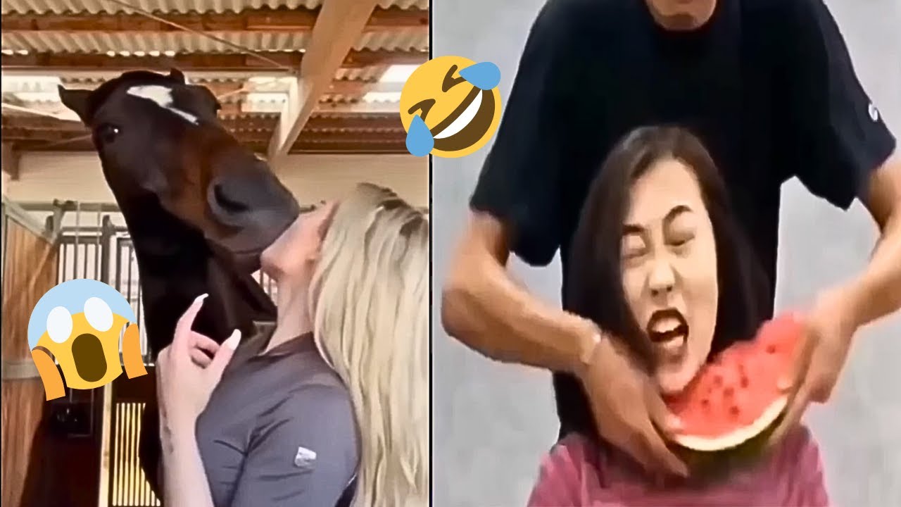 Best Funny Videos Compilation 🤡 p2 #comedy #funny #memes - YouTube