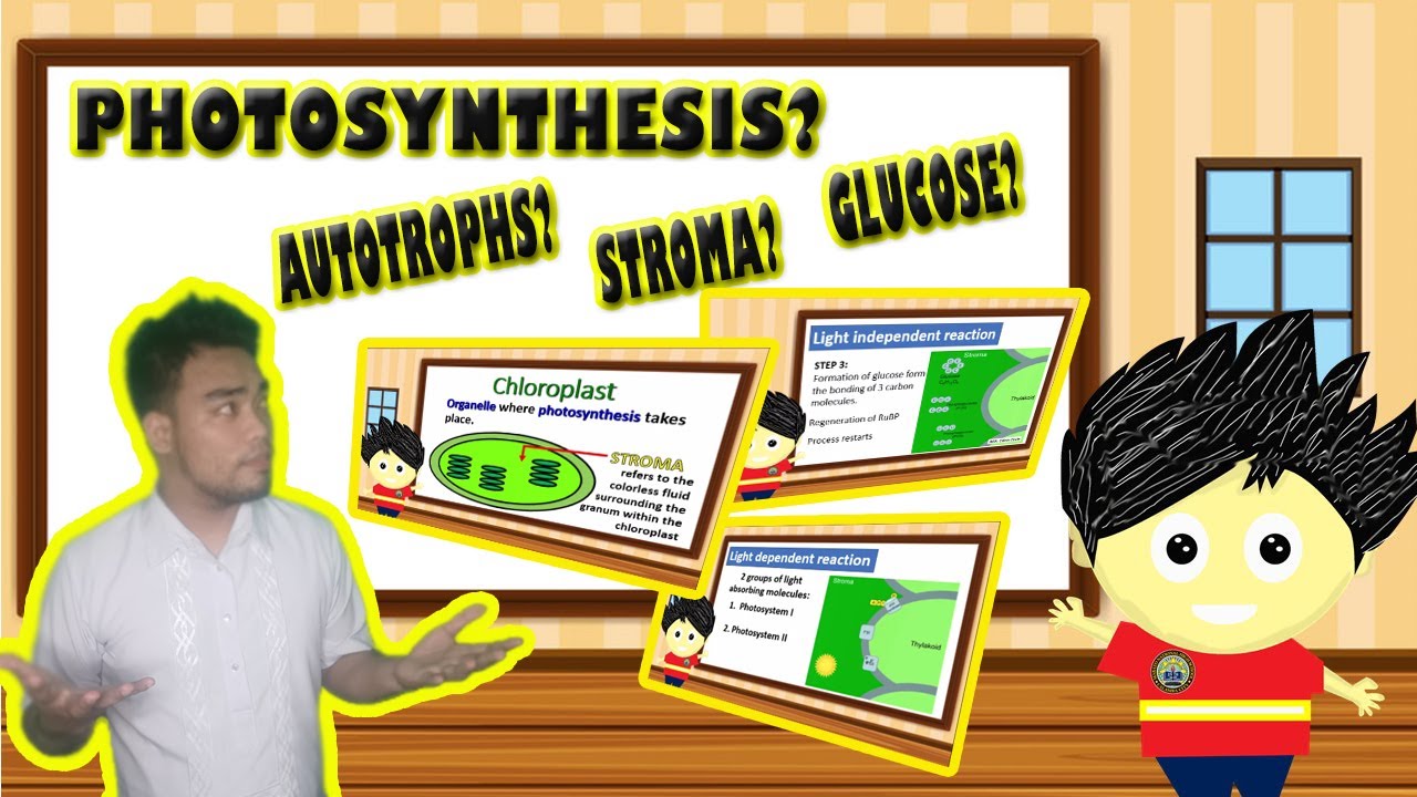 Science 9: Photosynthesis/ Food Production in Plants // (Tagalog ...