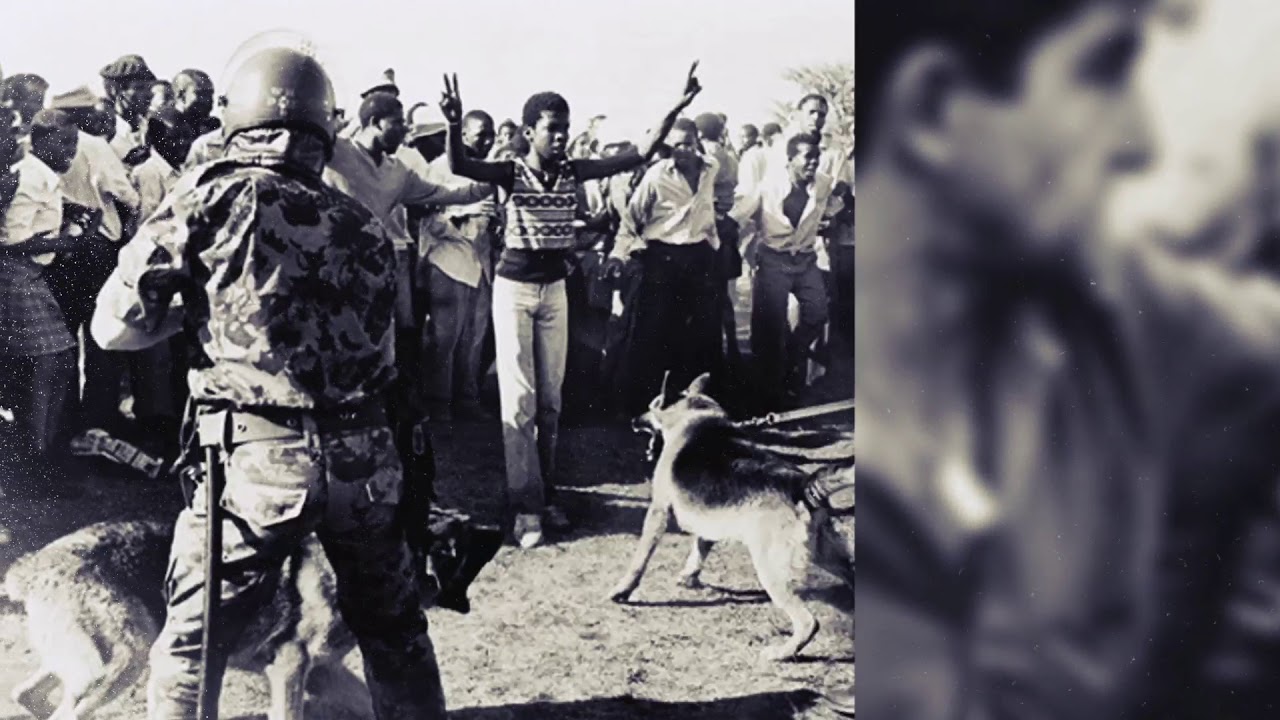 Fin del Apartheid en 1992 - YouTube