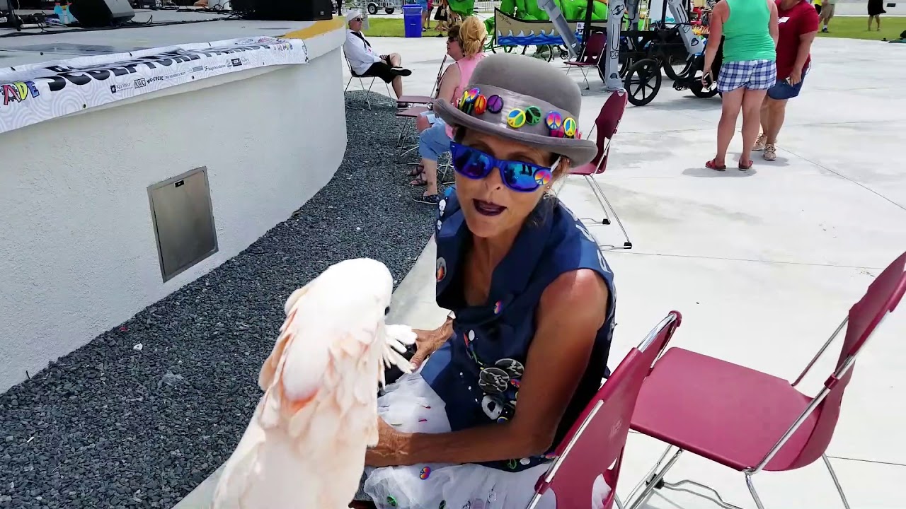 Virginia Wark, Our favorite Kinetic Sculptor - YouTube