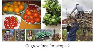 What is a garden?