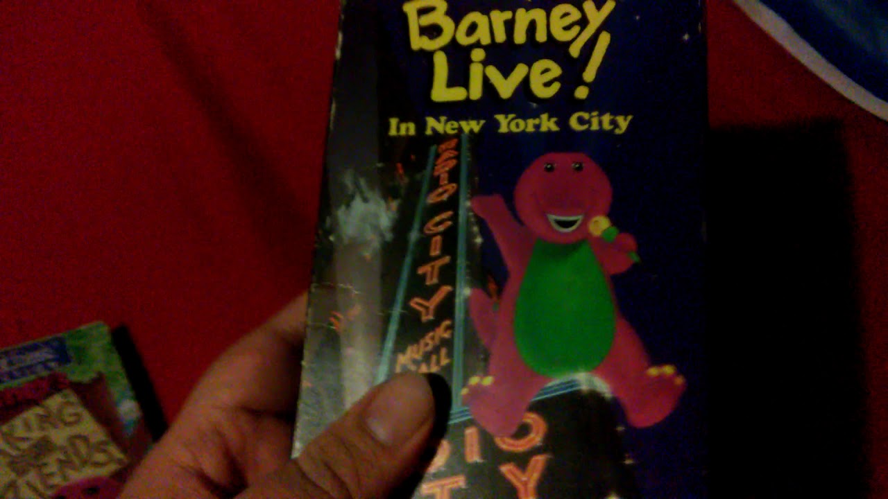 My Barney Home Video VHS Collection (2019 Edition) - YouTube