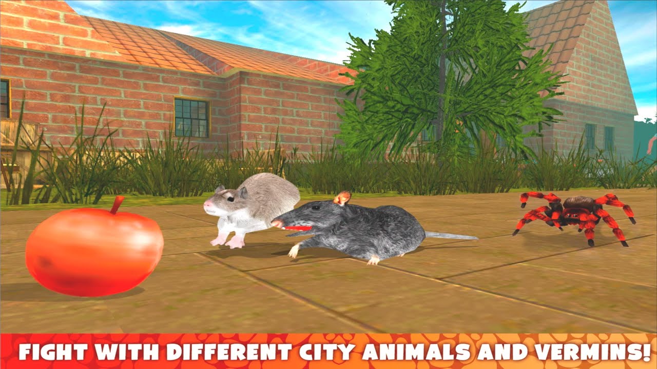 Hamster Survival Simulator 3D Gameplay - YouTube