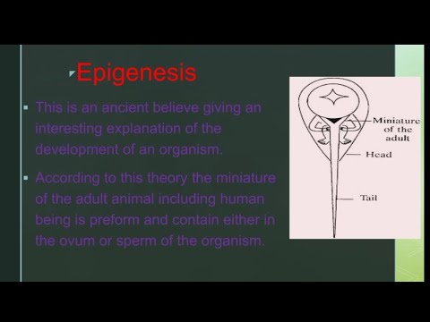 What is Epigenesis? #biology #Epigenesis#viralvideo #easy #notes# ...