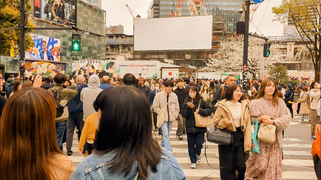 [4K] Shibuya Spring Walk. Cherry Blossom in Shibuya Hachiko Square ...