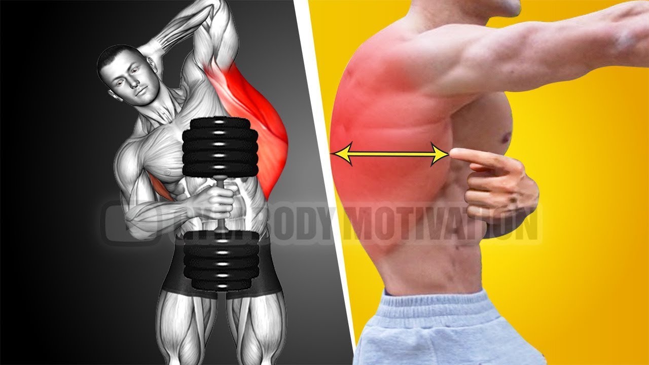 The 6 Most Important Back Exercises at Gym Guide For Everyone - YouTube