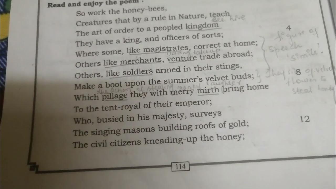 The Bees, class 8, William Shakespeare. - YouTube