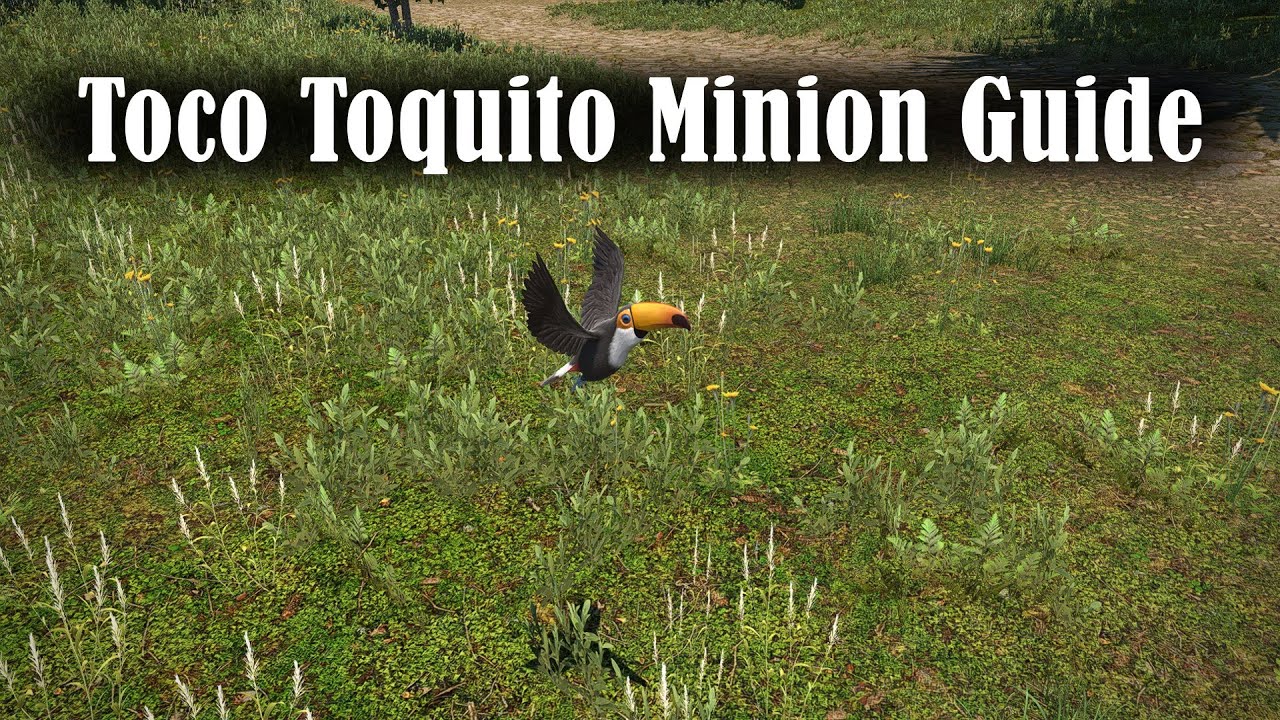 FFXIV Toco Toquito Minion Guide - YouTube