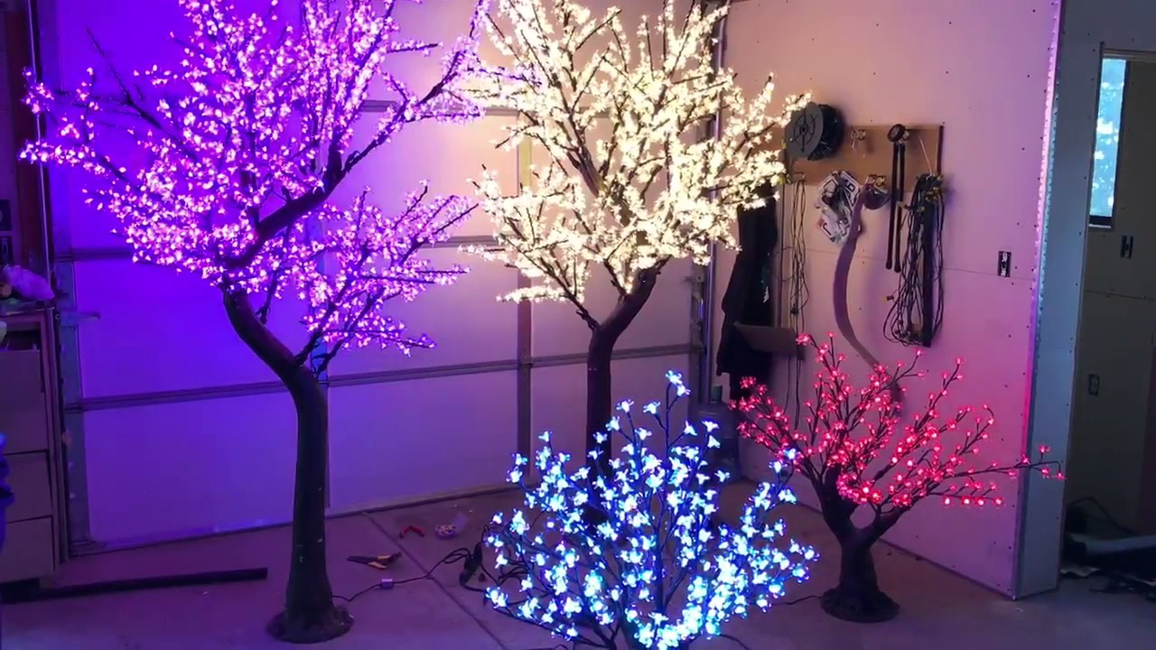 RGB Cherry Blossom Trees Colorado Christmas Lights - YouTube