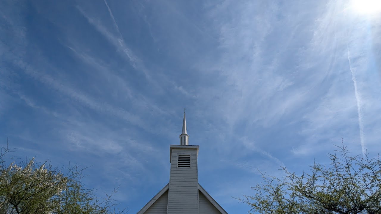 Reading Zero Option by P.T. Dueutermann a tiny bit at a 🧚‍♂️🕰️ - YouTube