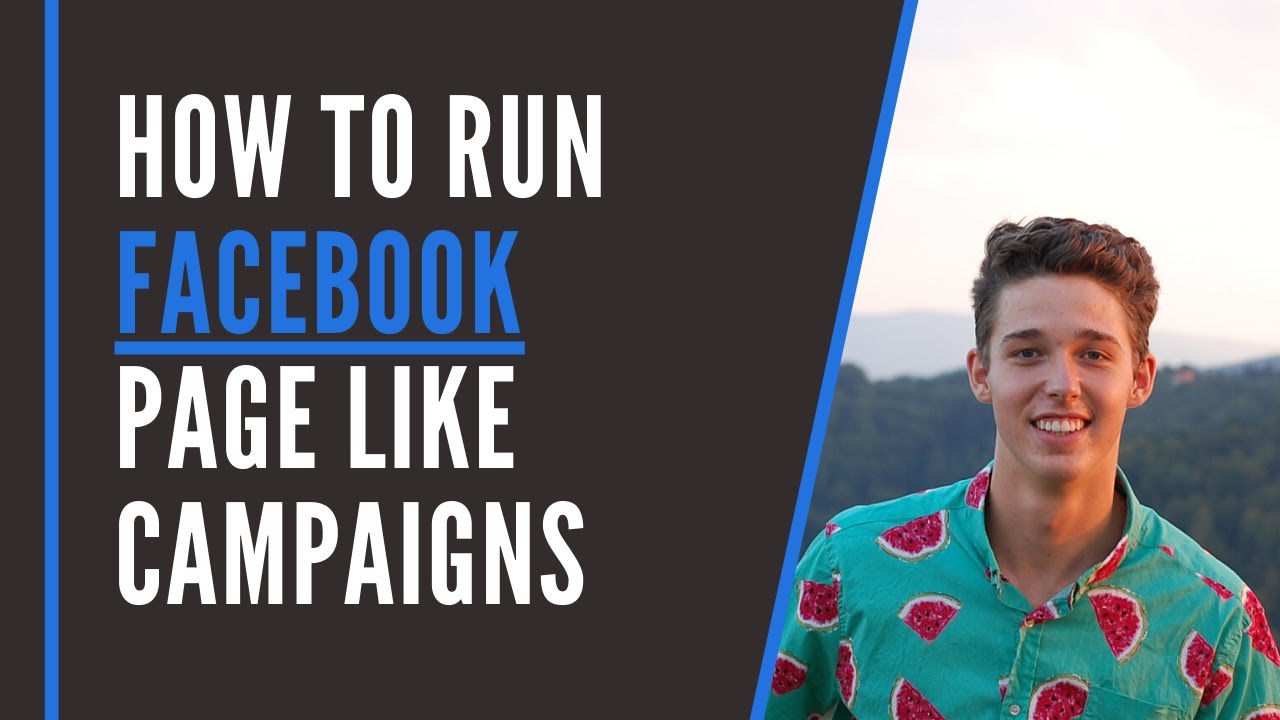 How to create a Facebook Page Like Campaigns to Grow Followers and ...