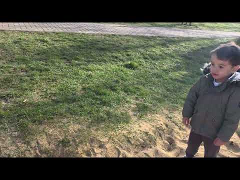 Silly Things Kids Do - Swing