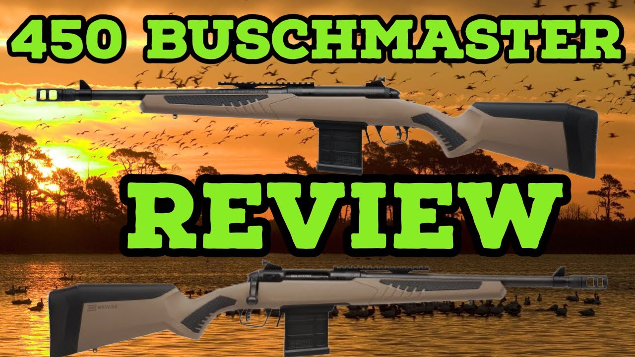 Savage 10 110 Scout 450 Bushmaster Review - YouTube